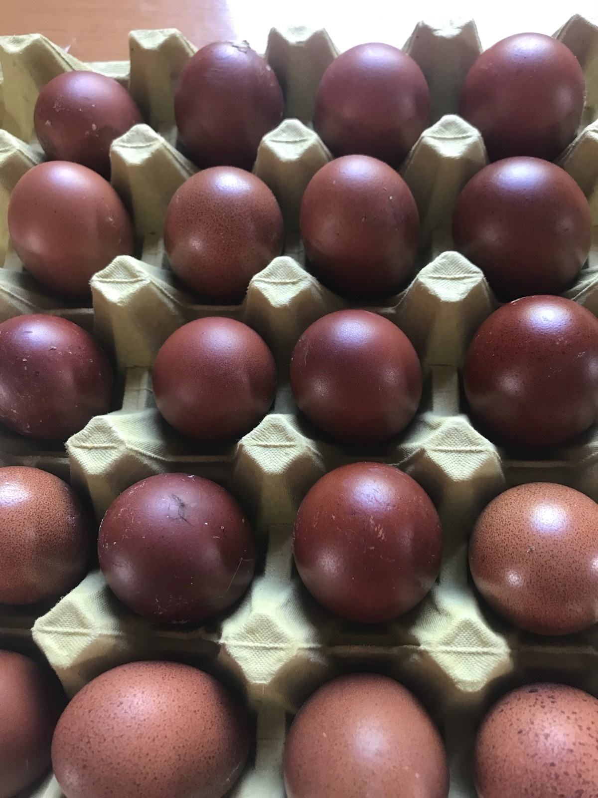 Valilna jajca marans črni z bakrenim vratom