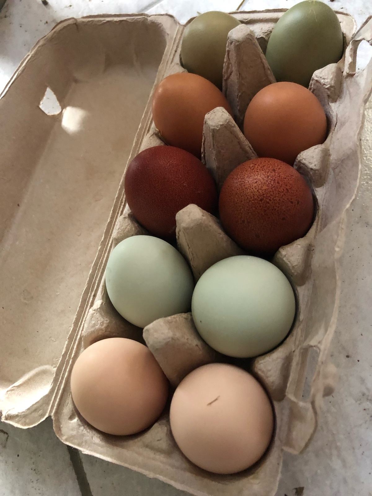 Valilna jajca oliv eger mix. Lahko tudi posljem.