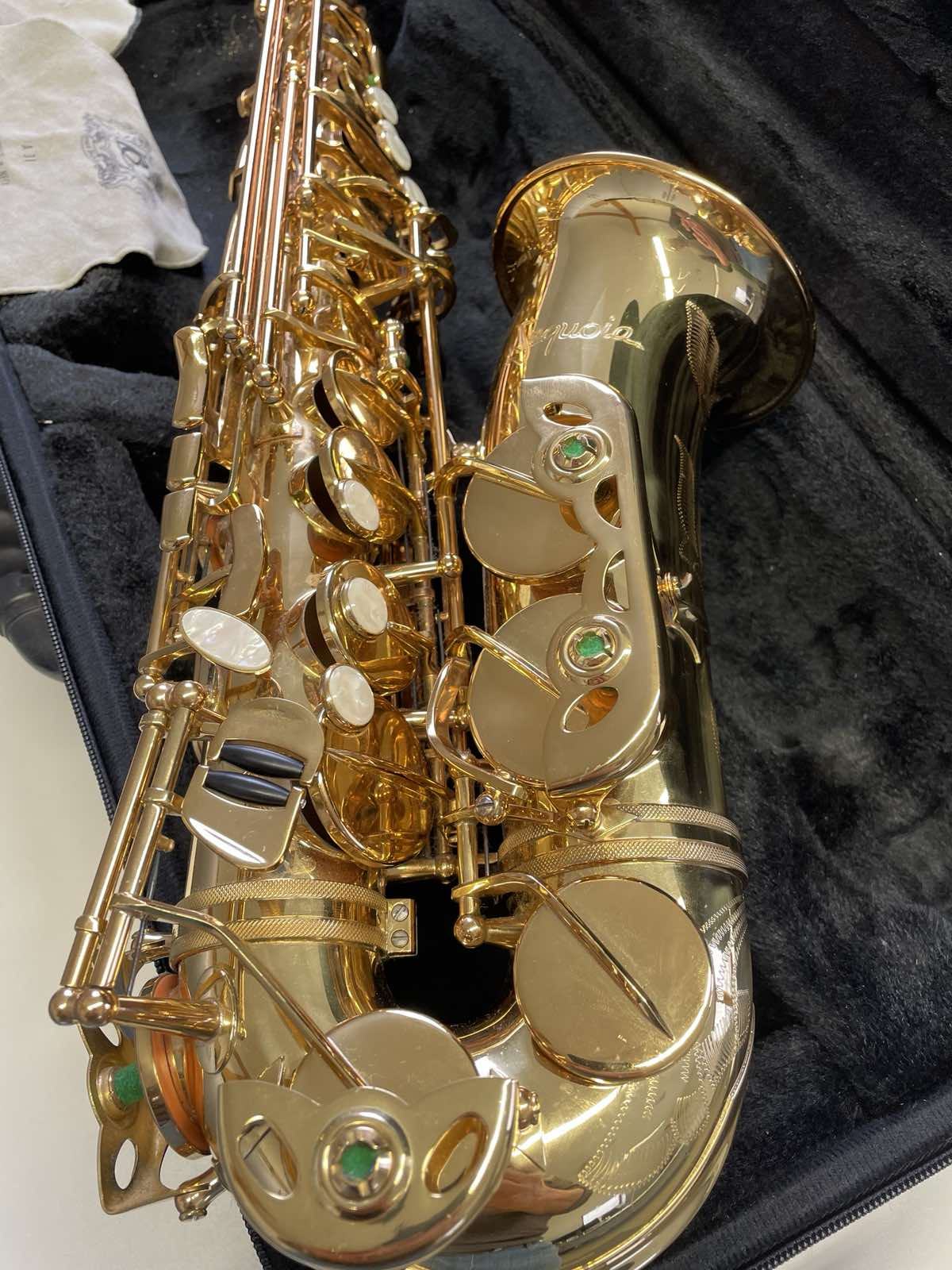 Saksofon Sequoia Alto Booster