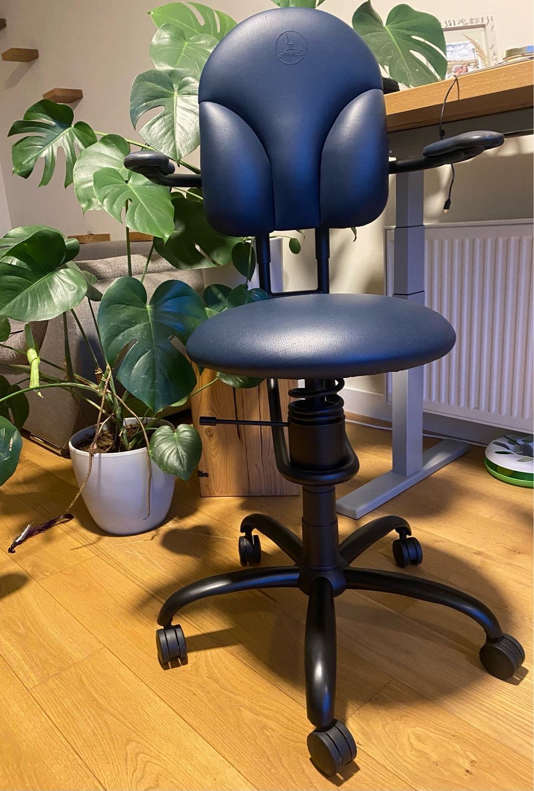 Pisarniski stol Spinalis Basic