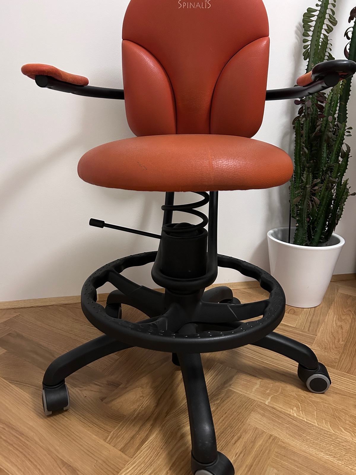 Stol Spinalis Basic z nožnim naslonom, ergonomski pisarniškio stol