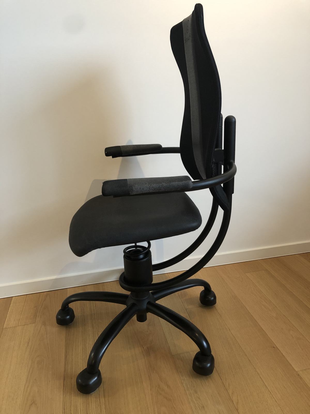 Stol Spinalis Hacker