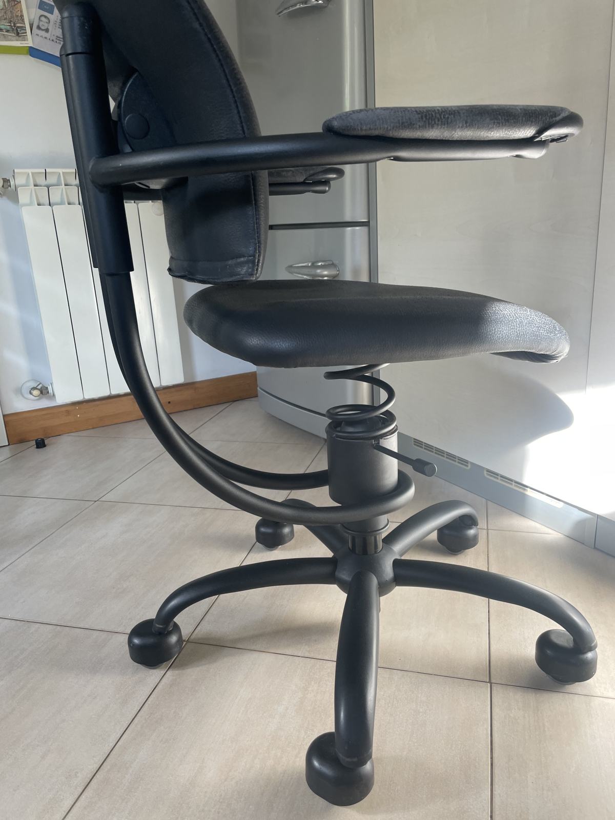 Spinalis apollo ergonomski stol