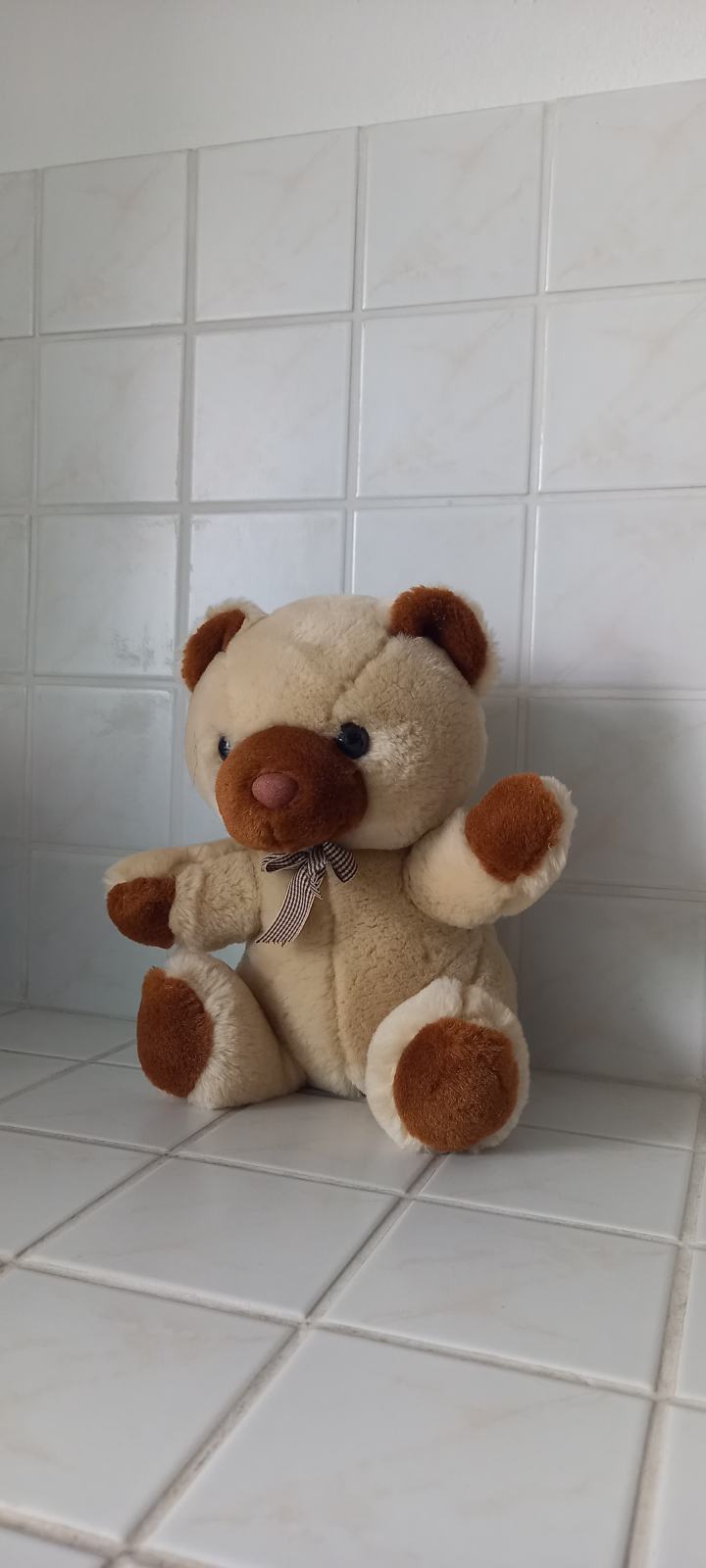 Medvedek plišasti 25 cm