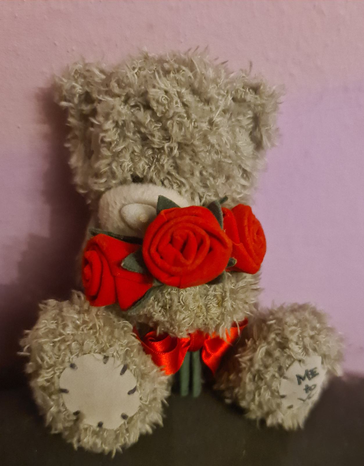 plisasti medvedek Me to you