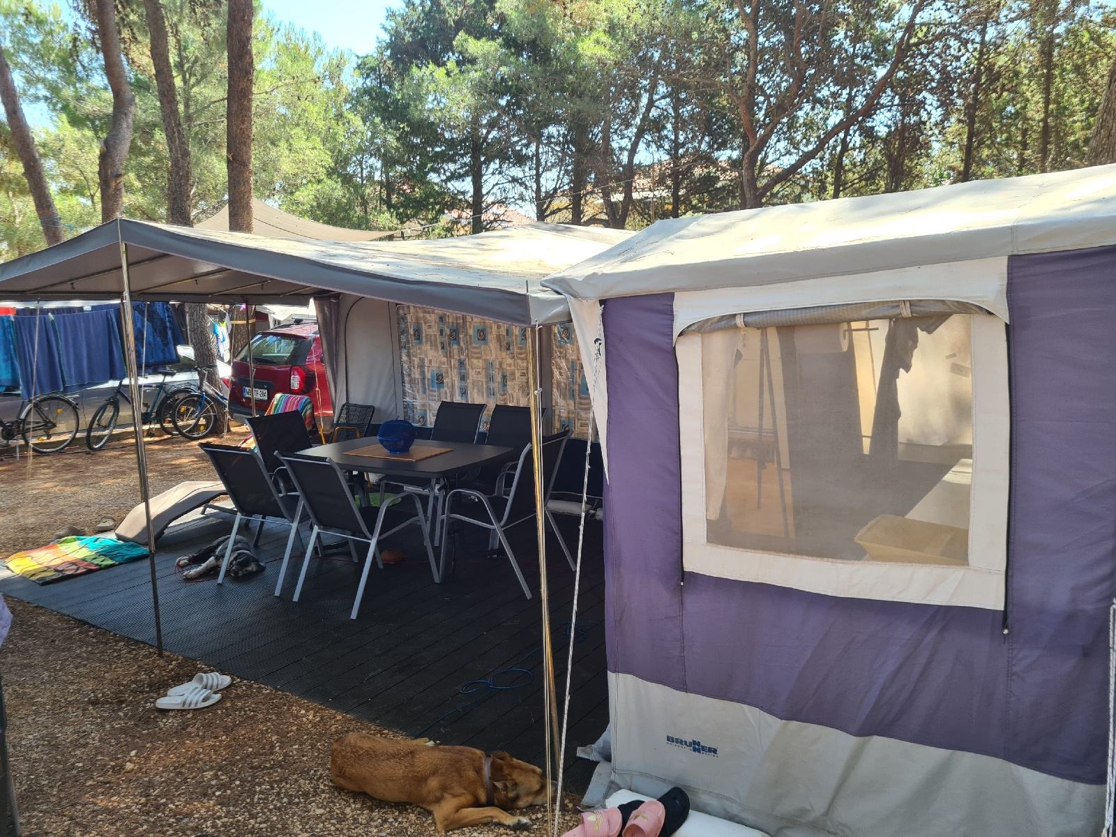 Prodam kamp prikolico