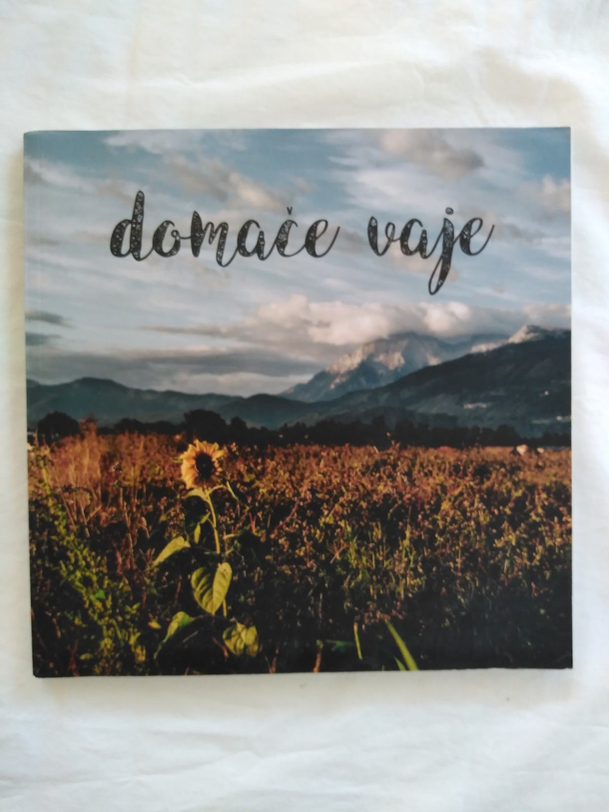 Domače vaje 2017