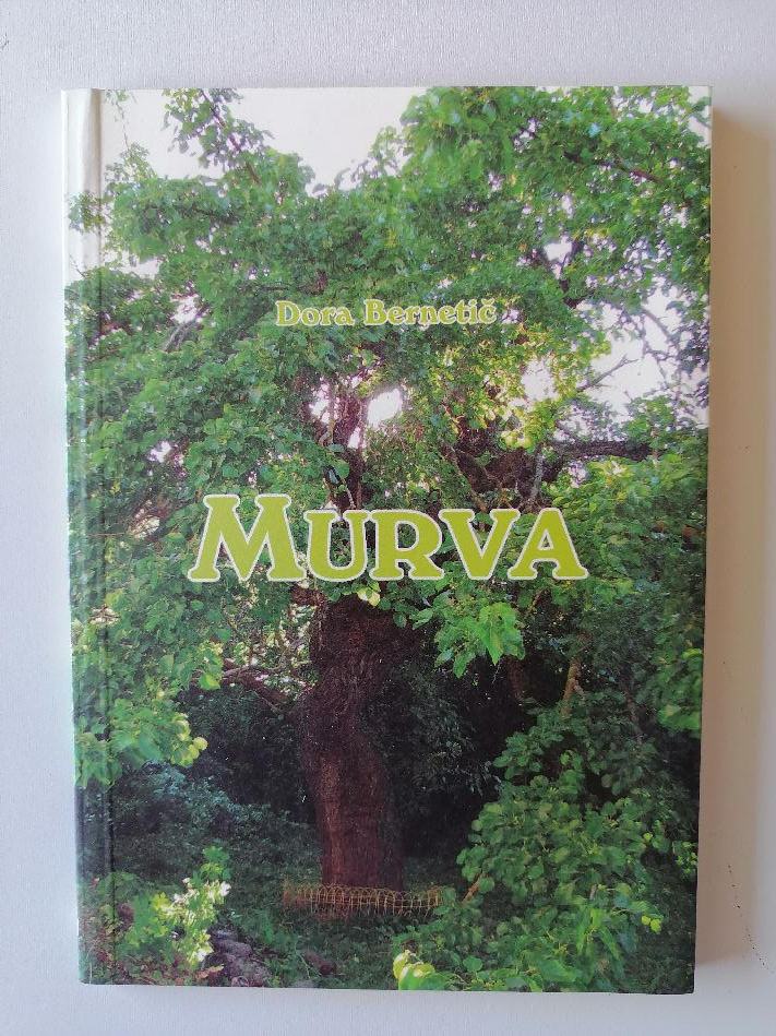 DORA BERNERTIČ, MURVA