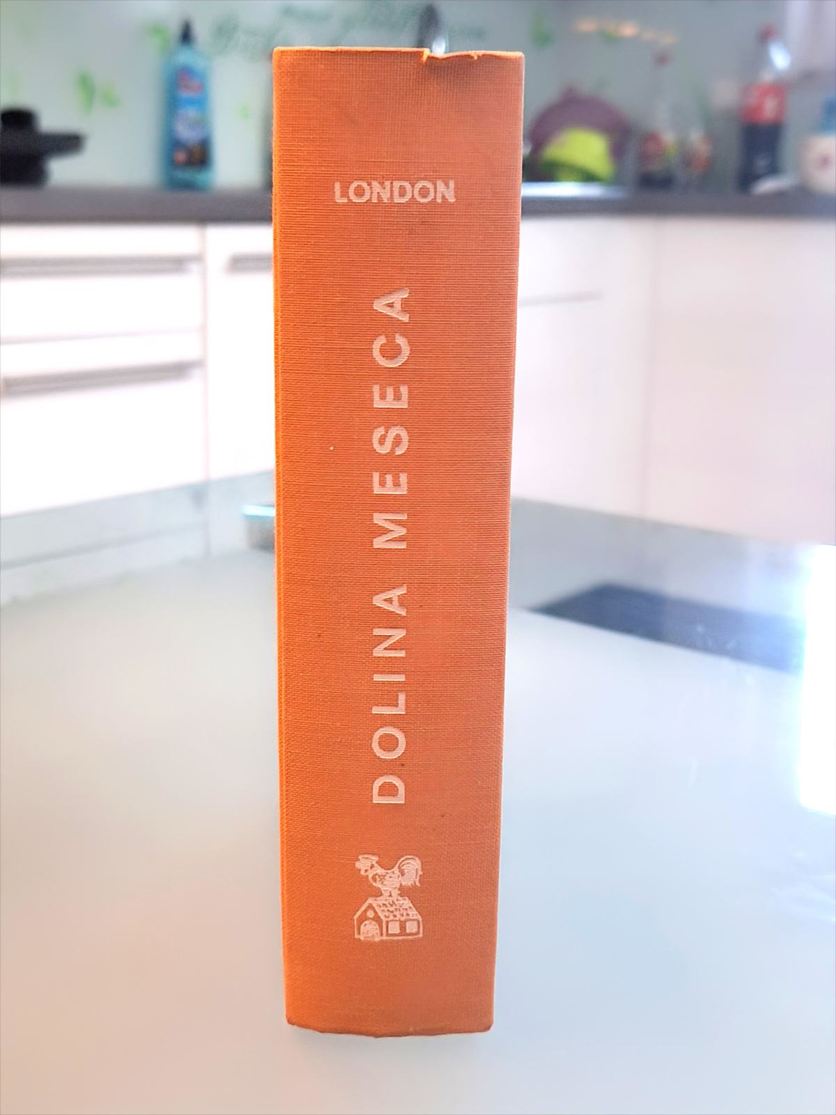 Jack London – Dolina meseca - 1970. Poštnina vključena.