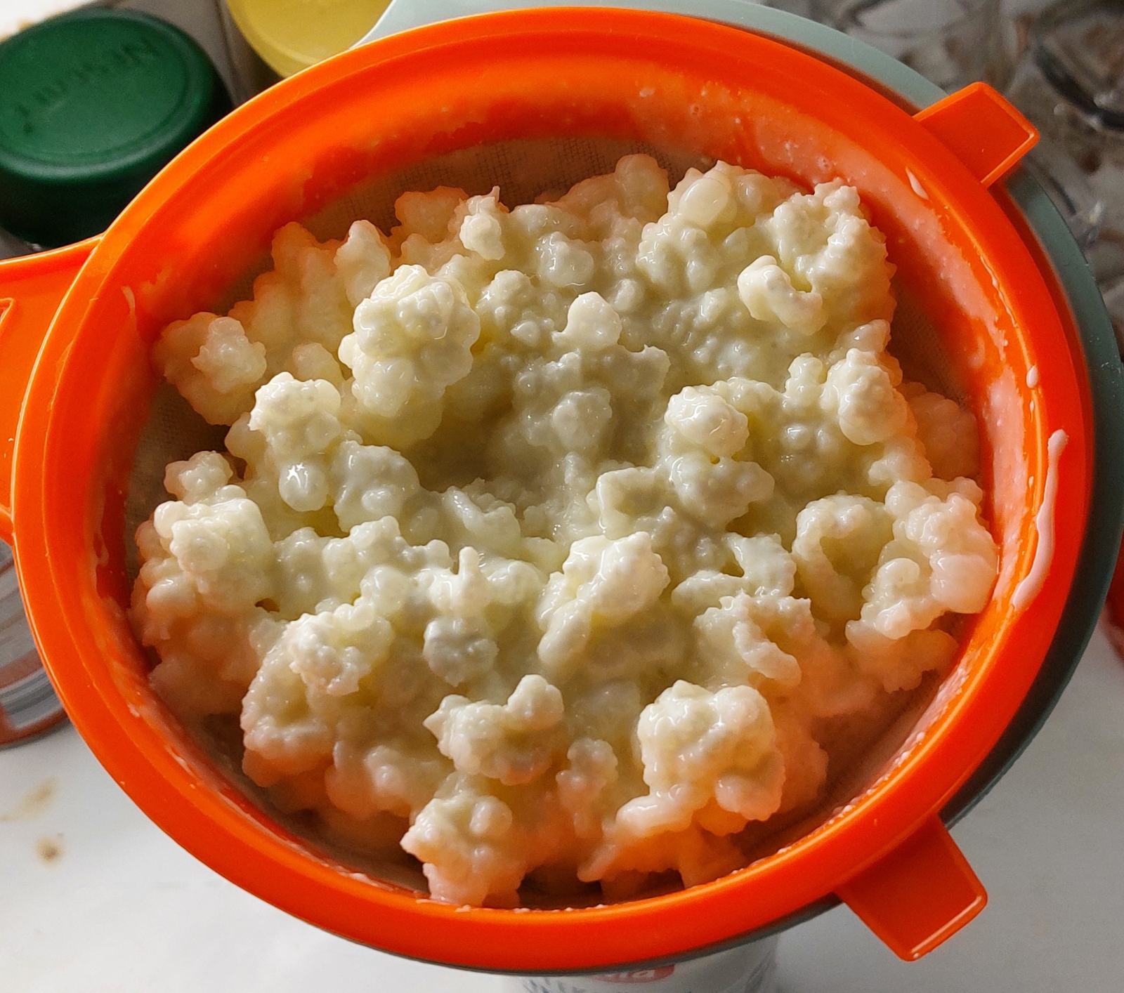 Gobice za mlečni kefir