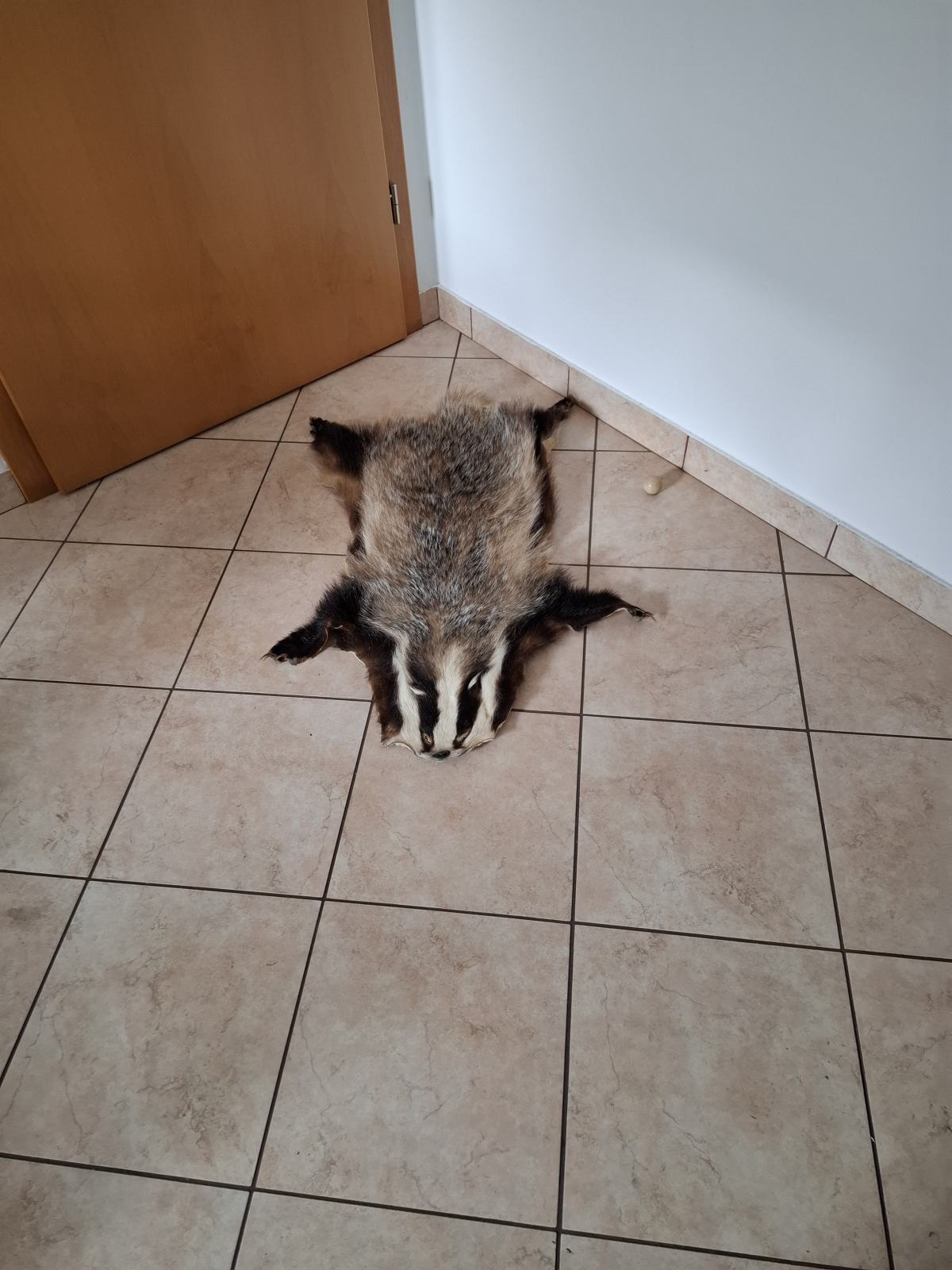 STROJENA KOŽA JAZBEC ODLIČNA