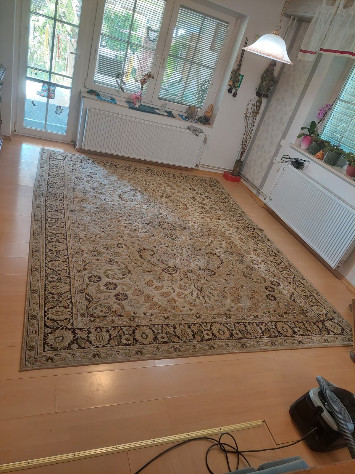 Tepih, preproga 315 x 250, 2kos