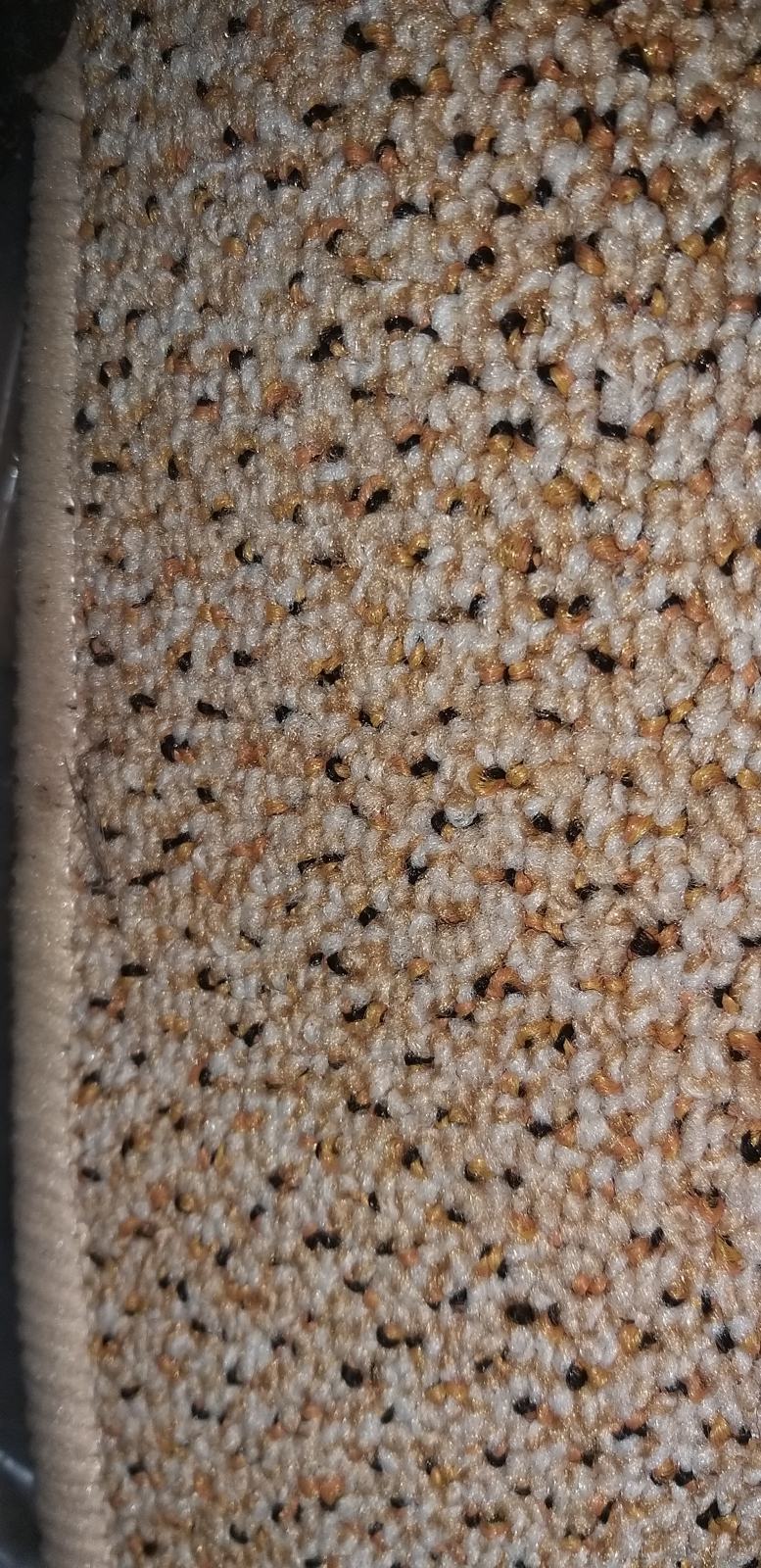 Topli pod 8m x 5m /40 m2