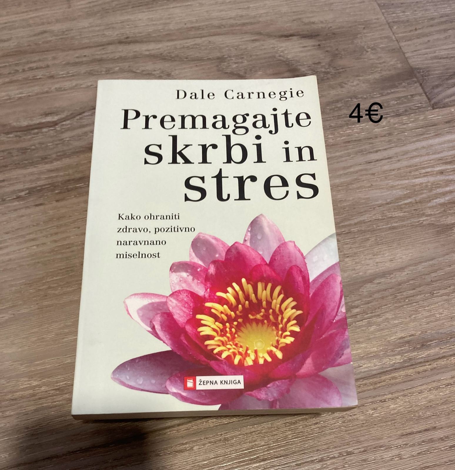 Dale Carnegie: Premagajte skrbi in stres