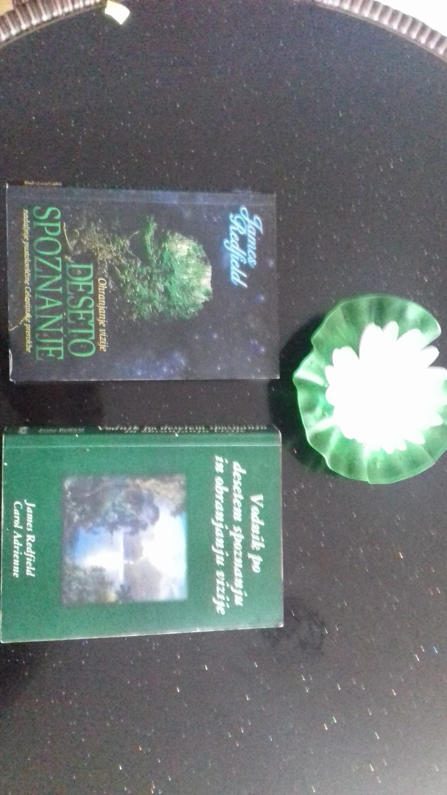 DESETO SPOZNANJE , VODNIK PO DESETEM SPOZNANJU, JAMES REDFIELD, CAROL
