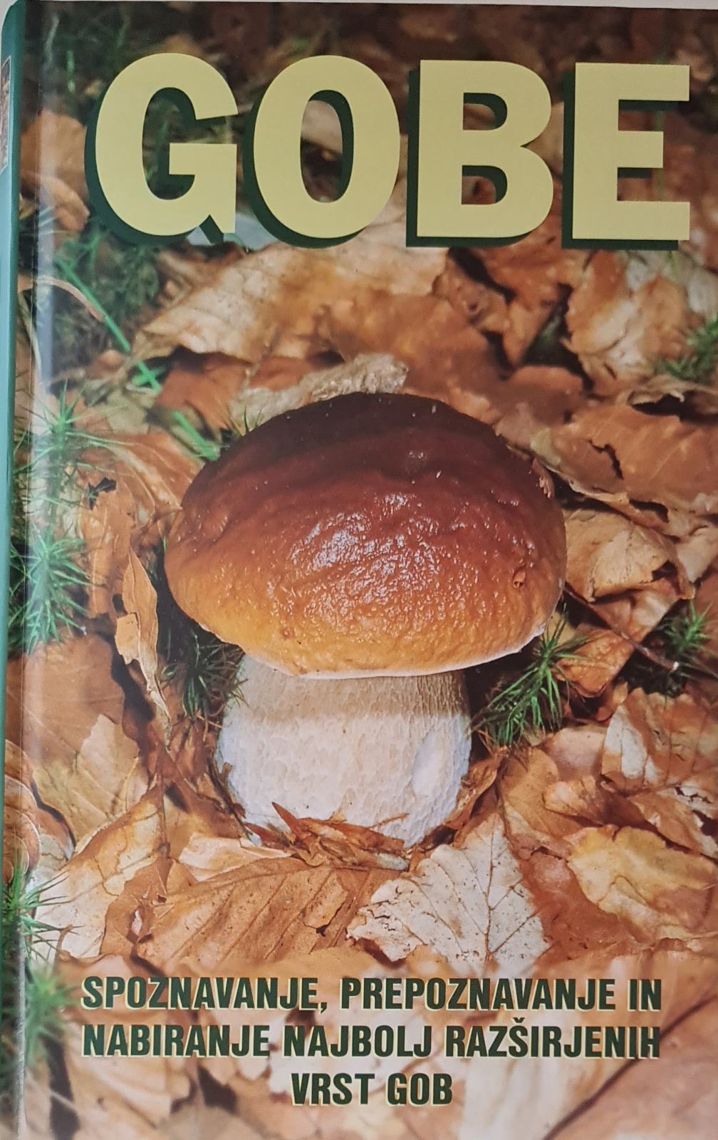 GOBE, Ettore Bielli, Založba Mladinska knjiga 2002