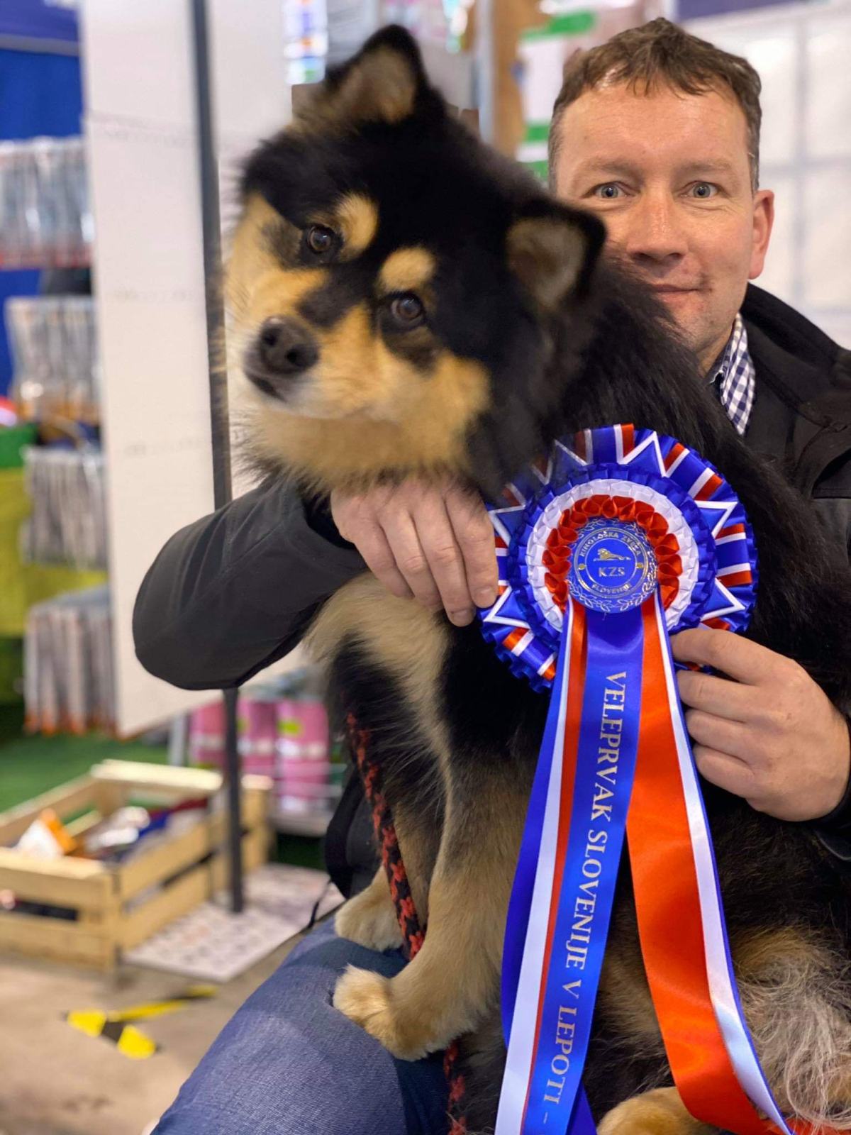 FINSKI LAPONSKI PSI..- Naj prijaznejša pasma psov..