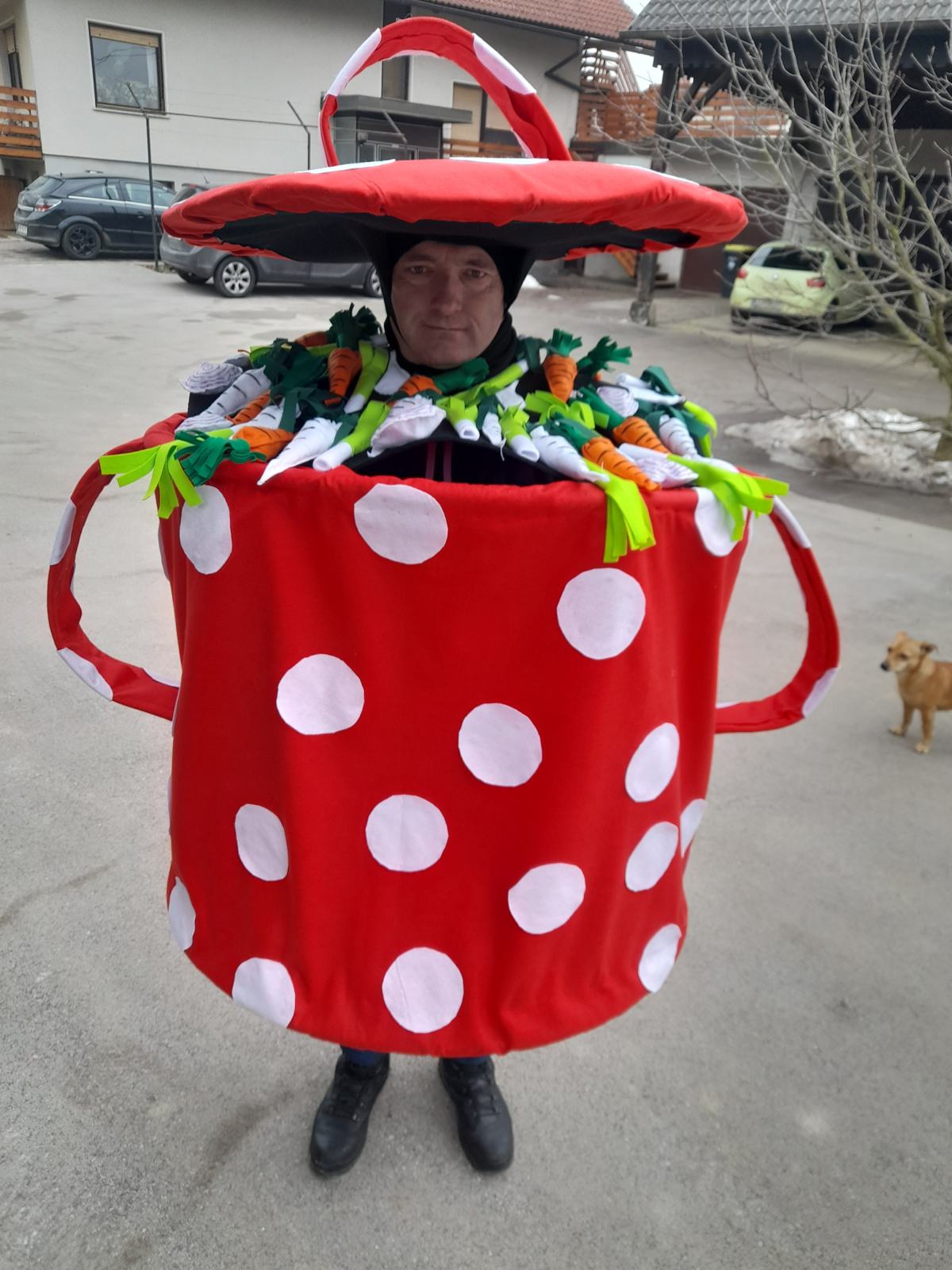 SKUPINSKA PUSTNA MASKA - ZELENJAVA