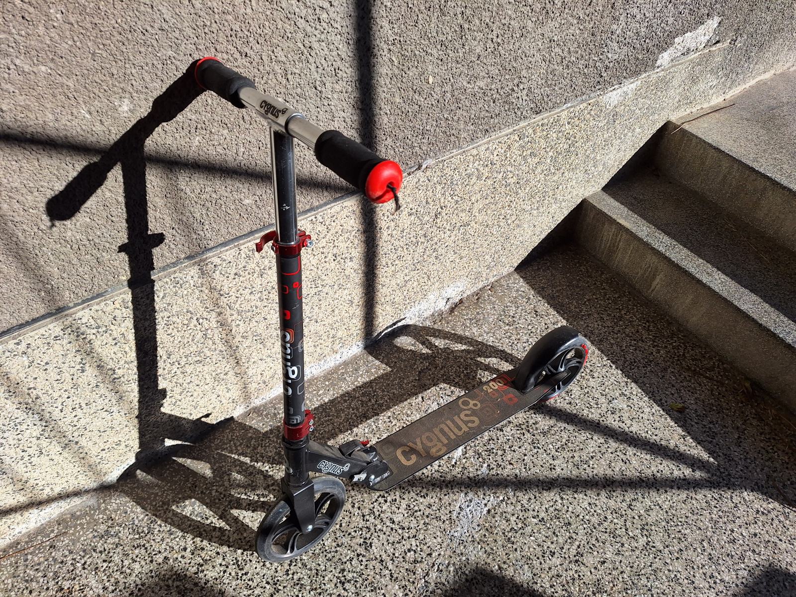 Skiro cygnus