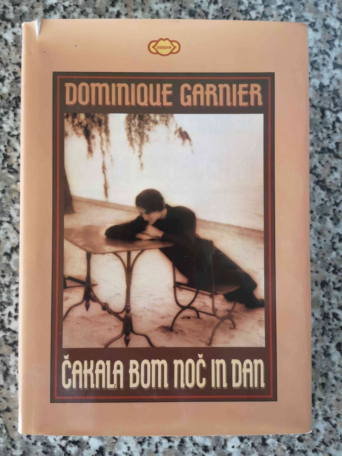 Dominique Garnier - Čakala bom noč in dan