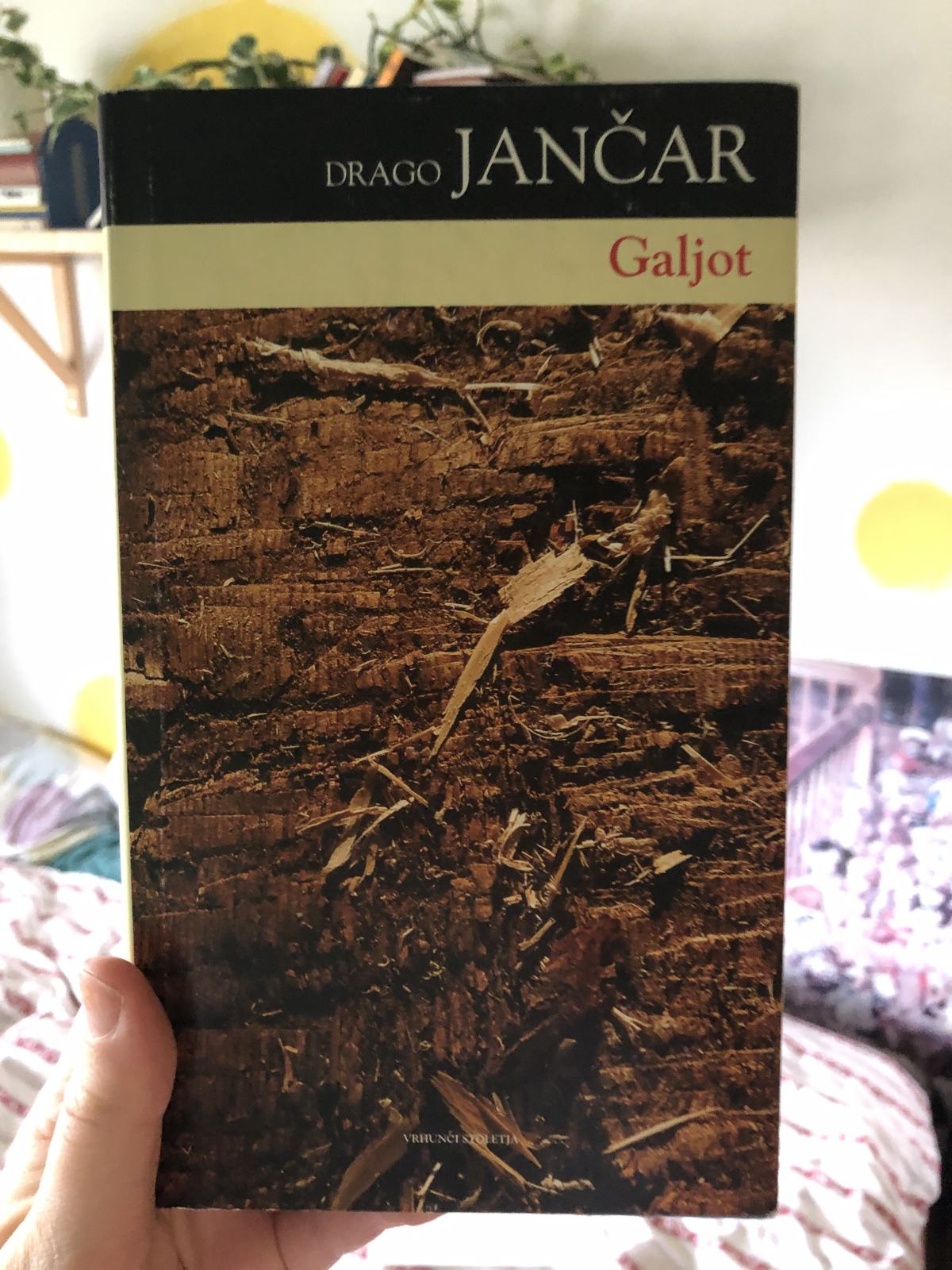 Drago Jančar: Galjot