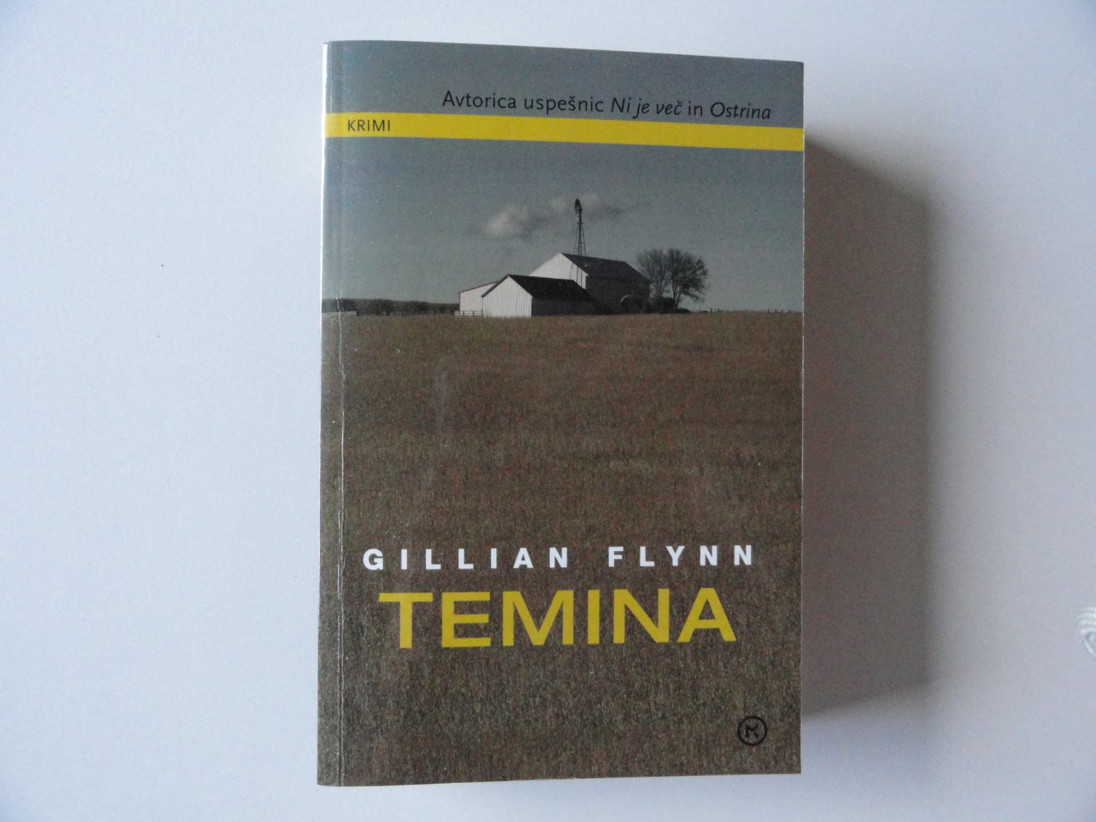 GILLIANN FLYNN, TEMINA