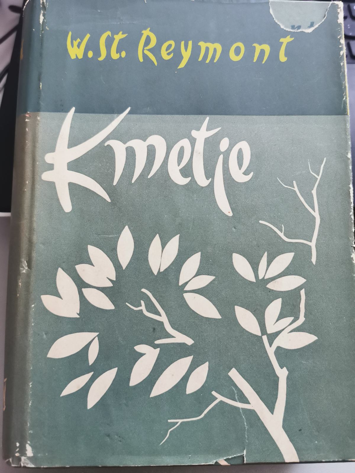 KMETJE - POMLAD POLETJE - REYMONT