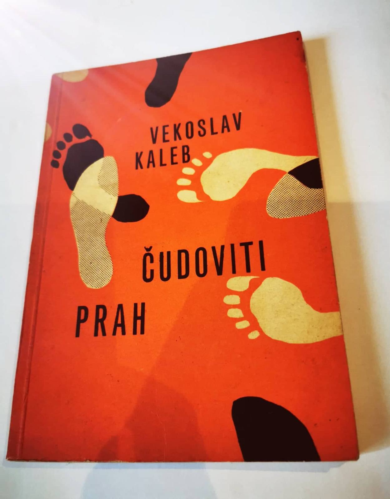 Knjiga - Čudoviti prah - Vekoslav Kaleb