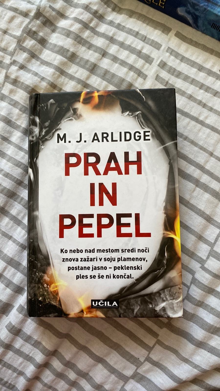 M. J. Arlidge: Prah in pepel
