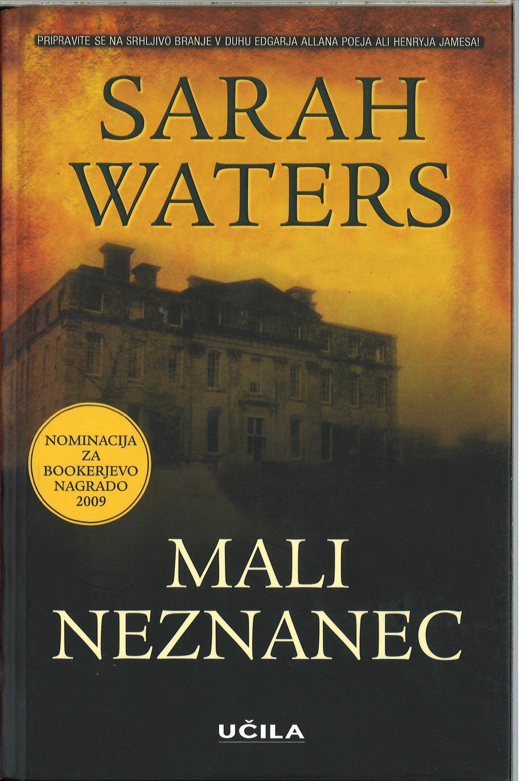 Mali neznanec / Sarah Waters