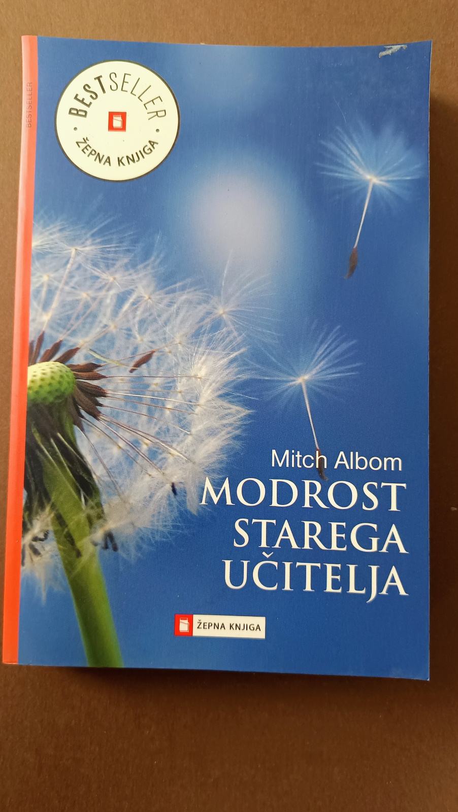Modrost starega učitelja, Mitch Albom