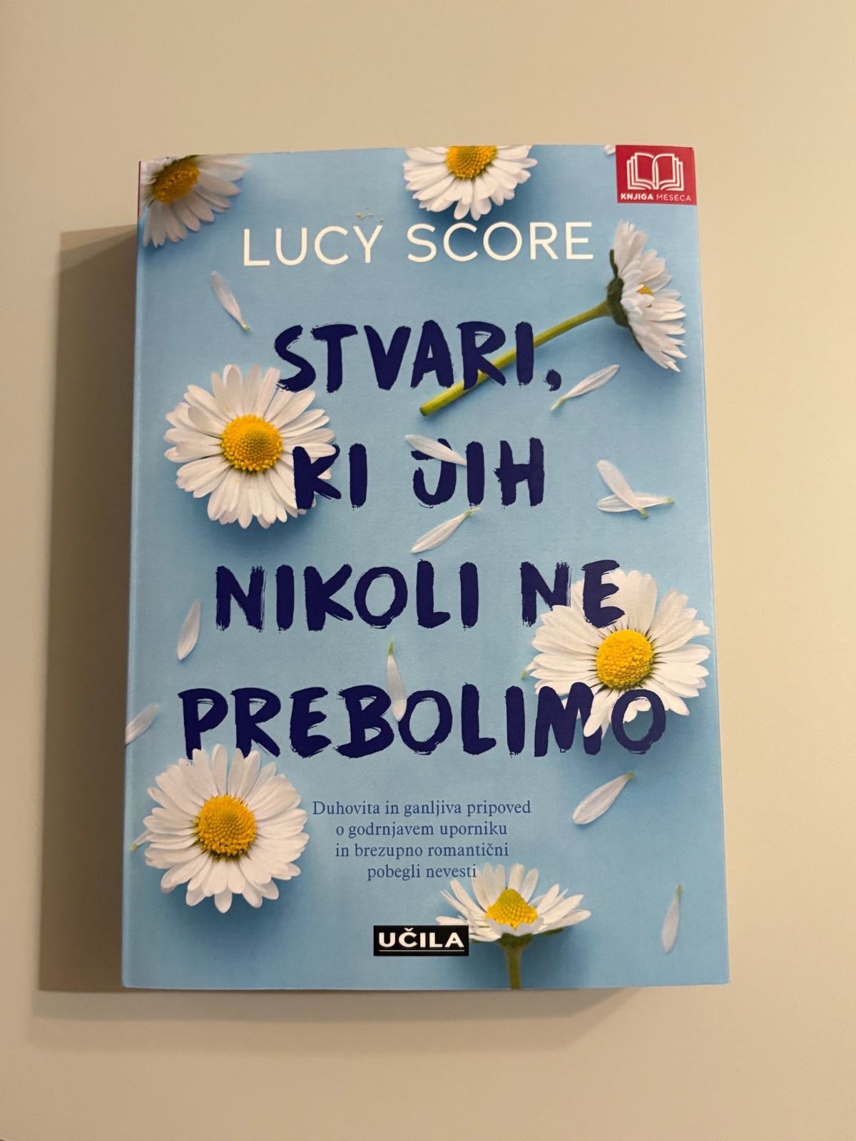 Prodam knjigo Stvari, ki jih nikoli ne prebolimo