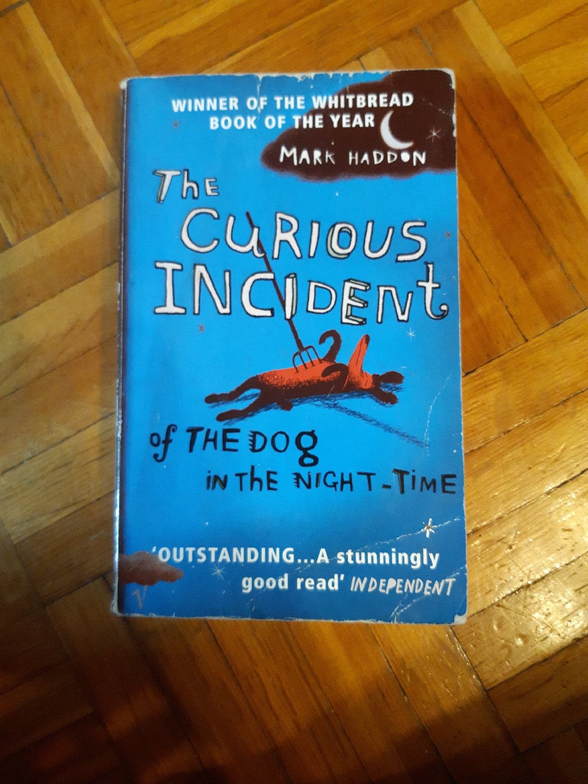 THE CURIOUS INCIDENT OF THE DOG IN THE NIGHT TIME