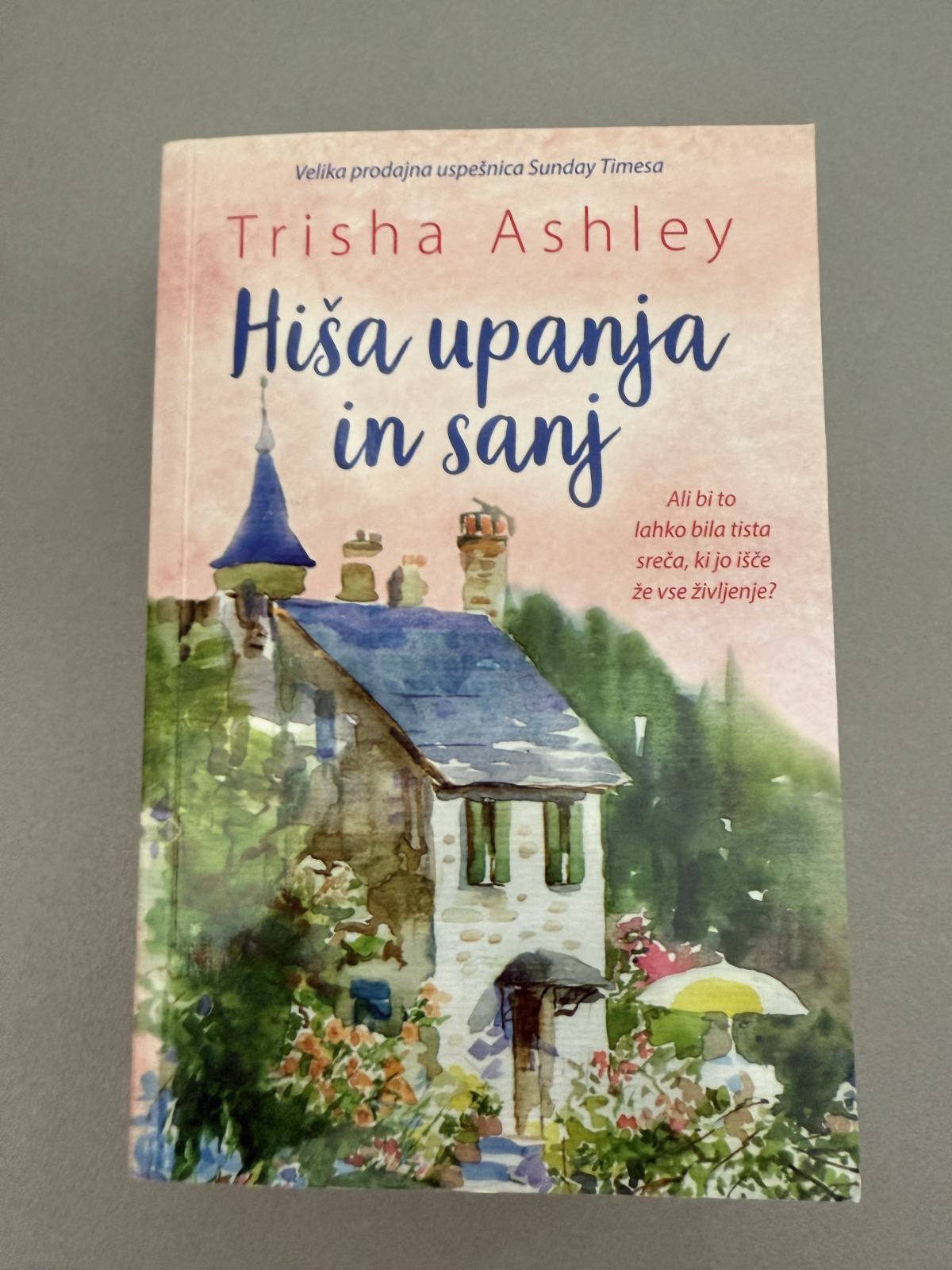 Trisha Ashley - Hiša upanja in sanj