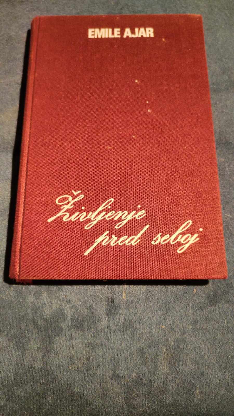 Življenje pred seboj