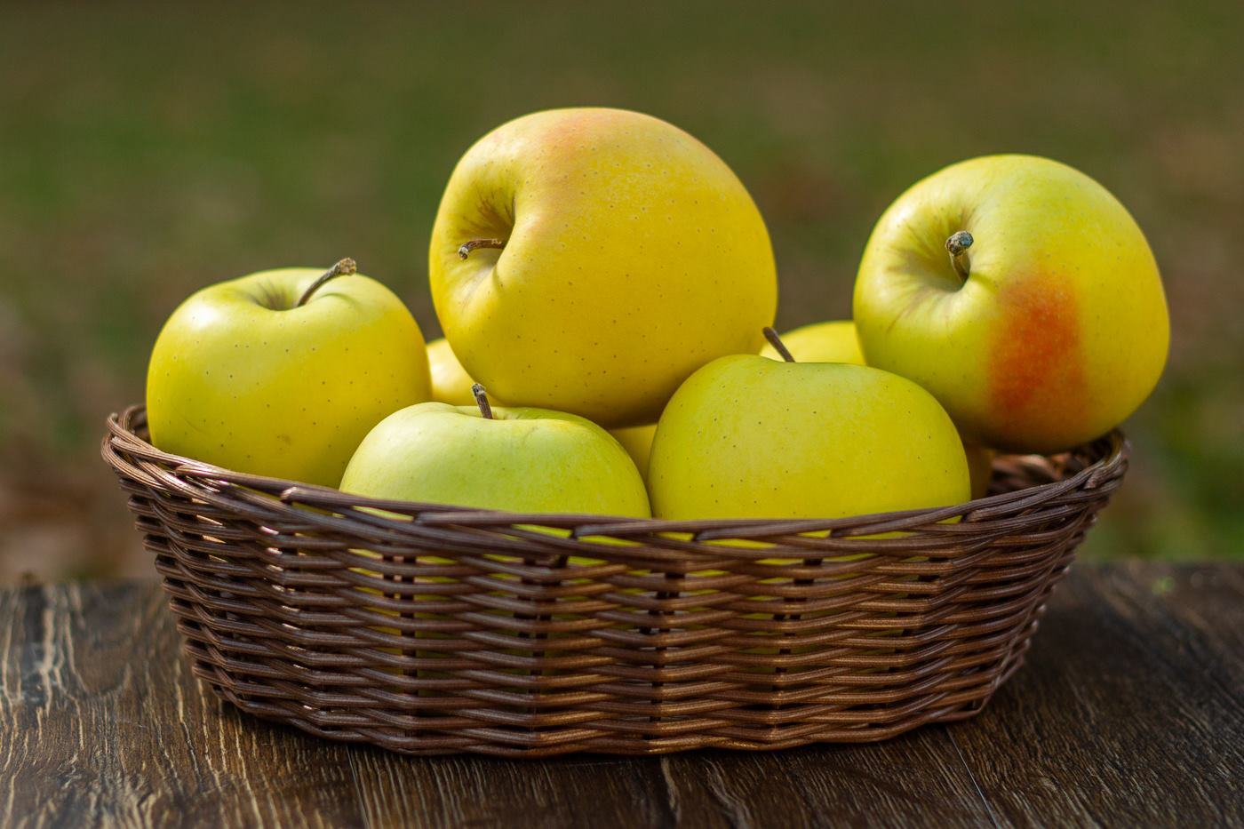BIO Domača jabolka, neškropljenja