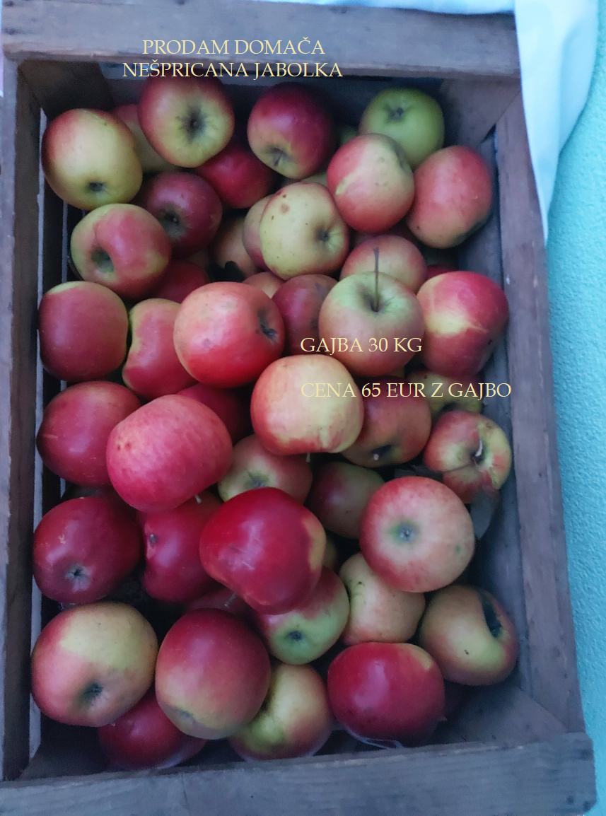 DOMAČA BIO JABOLKA