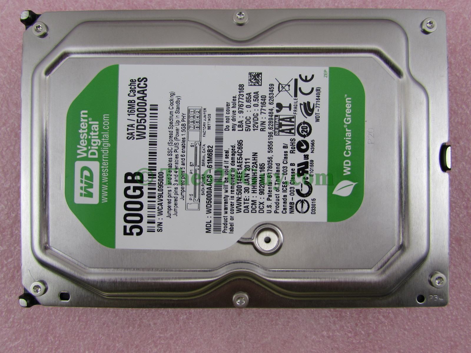 TRDI DISK-WD - Western digital - Blue / Green