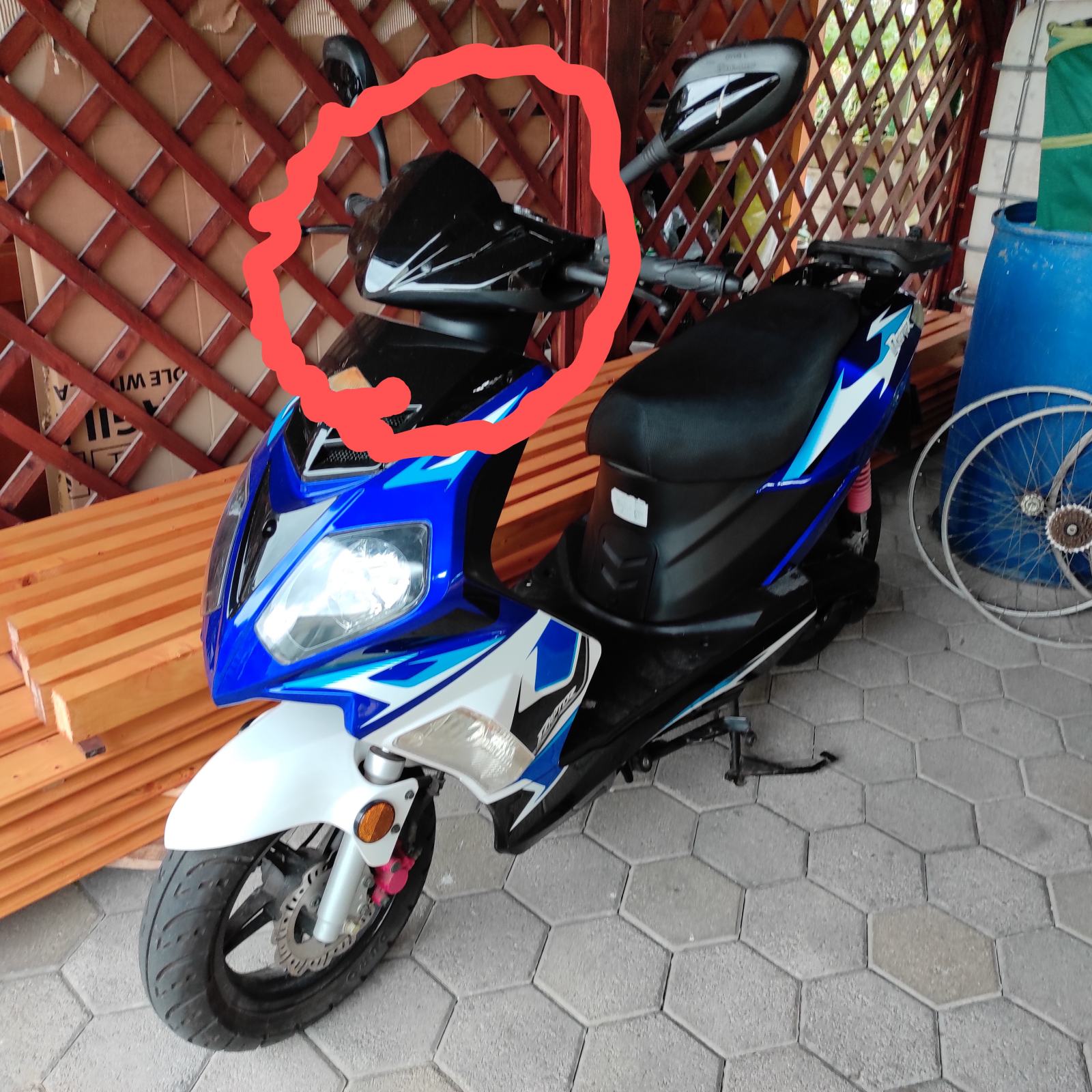 Longjia raptor, 2017 l.