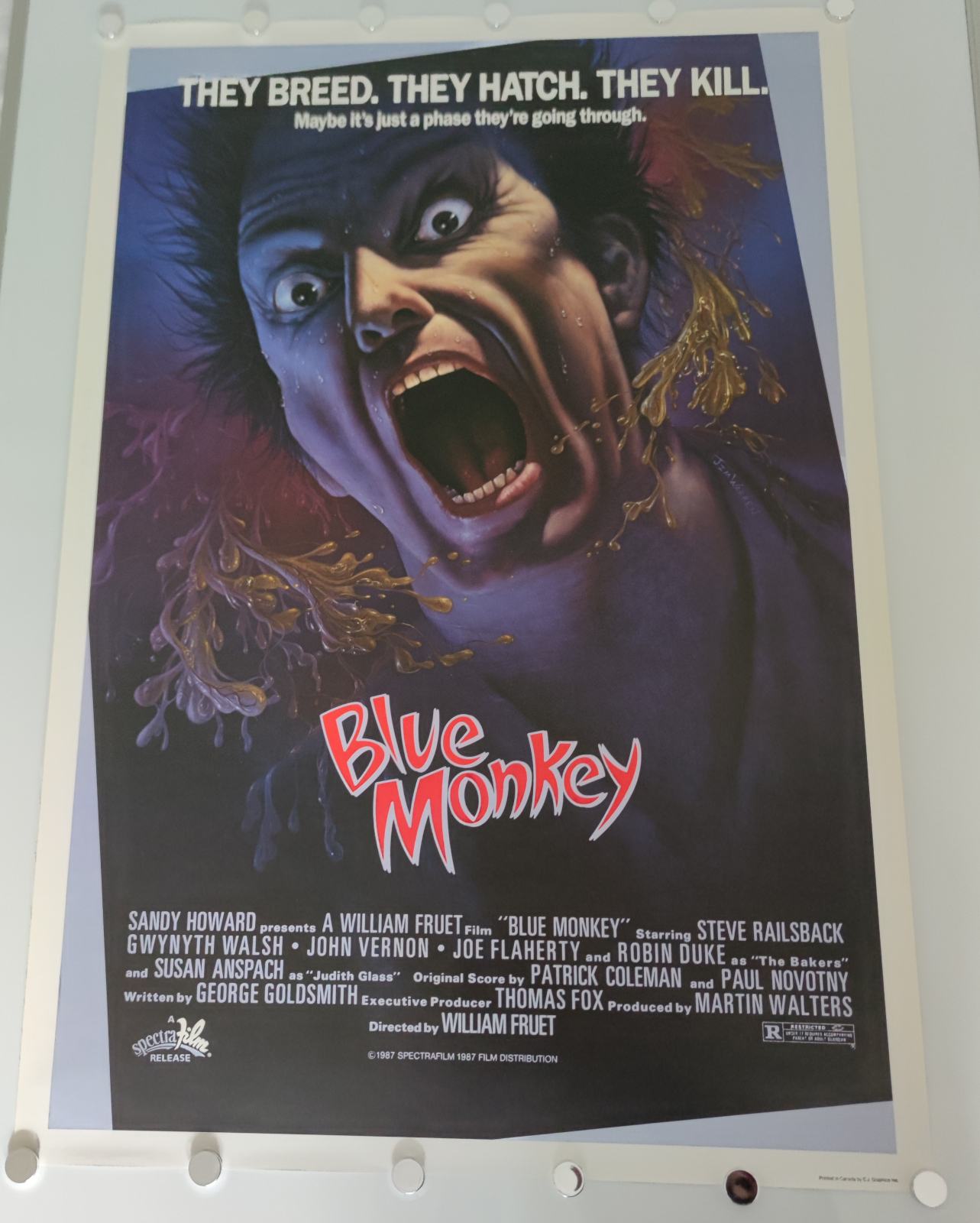 Plakat Blue Monkey