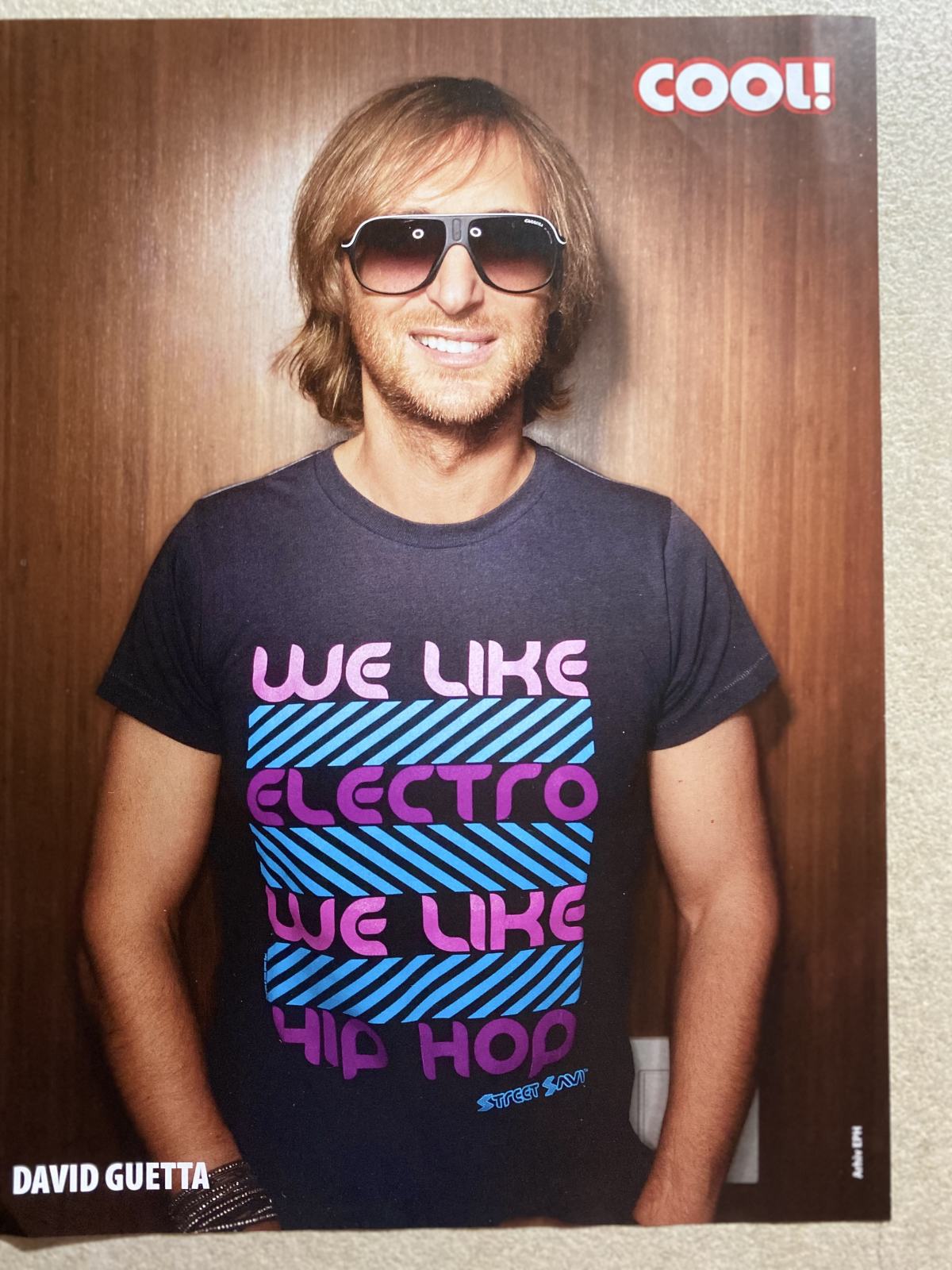 Plakat DAVID GUETTA, neverjetni D. Pierre Guetta /poster Yorkie - NOVO