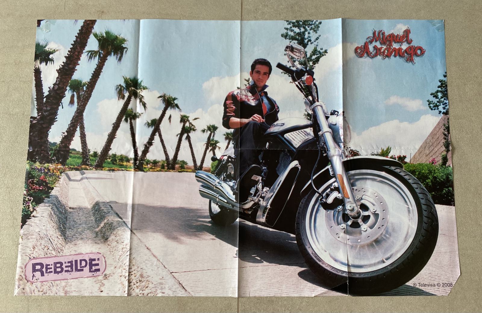 Plakat REBELDE poster MIGUEL ARANGO motor Alfonso Herrera Rodríguez