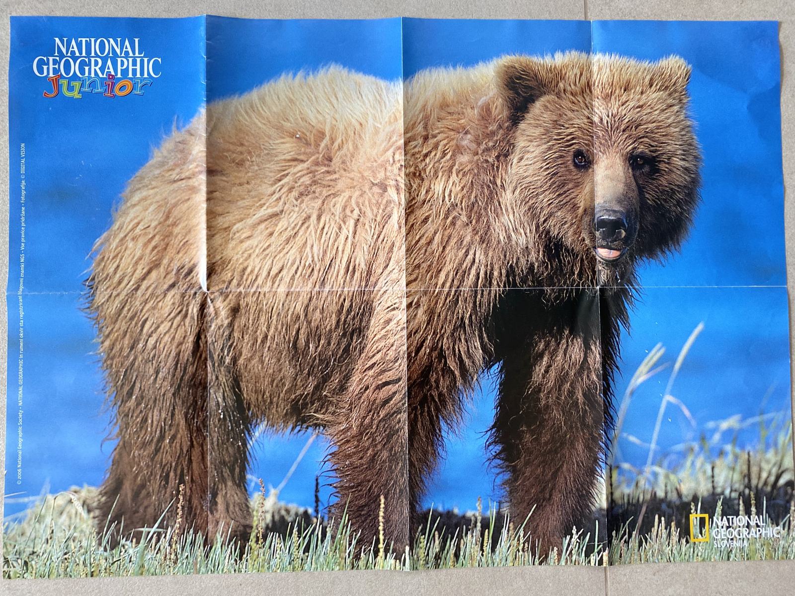 Plakat RJAVI MEDVED SLOVENIJA poster National Geographic - prodam
