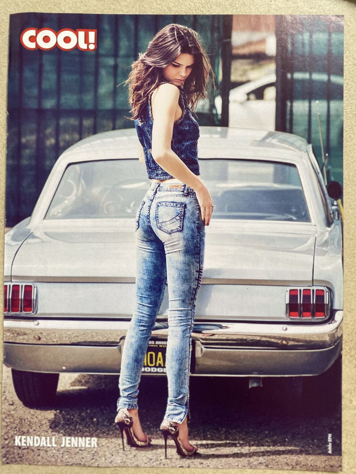 Plakat slavne KENDALL Nicole JENNER / poster kamela - NOVO prodam