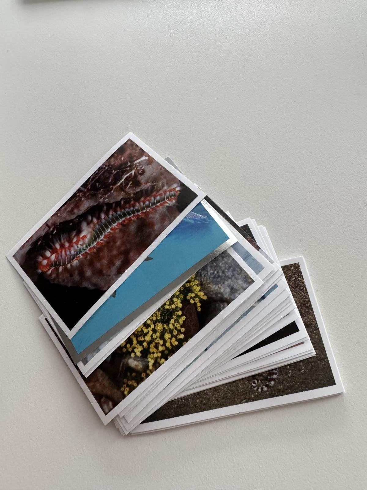 Sticker Mania sličice 2025