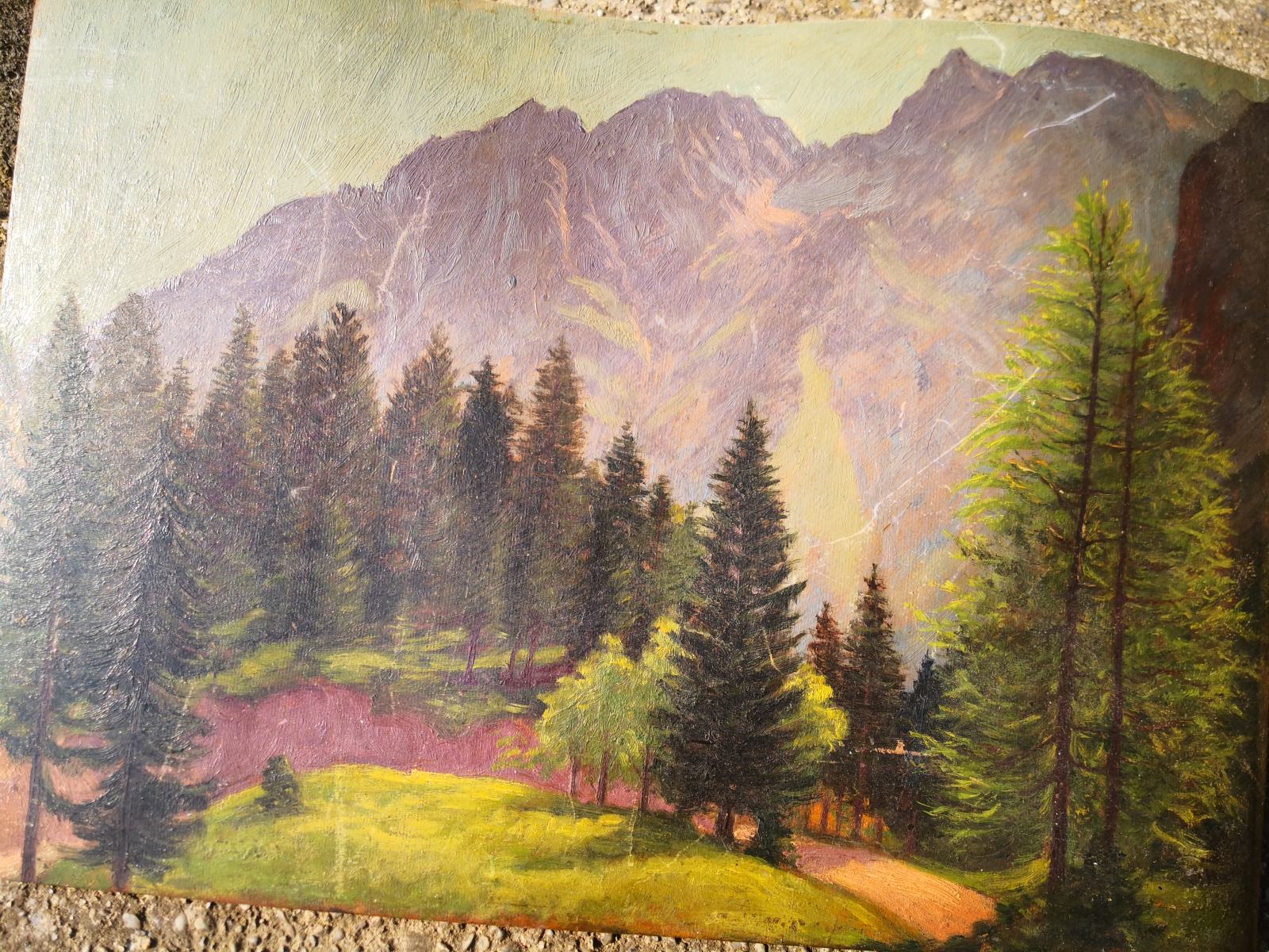 1929 Milan Klemenčič,Špik iz koče na gozdu, 9.8.1929