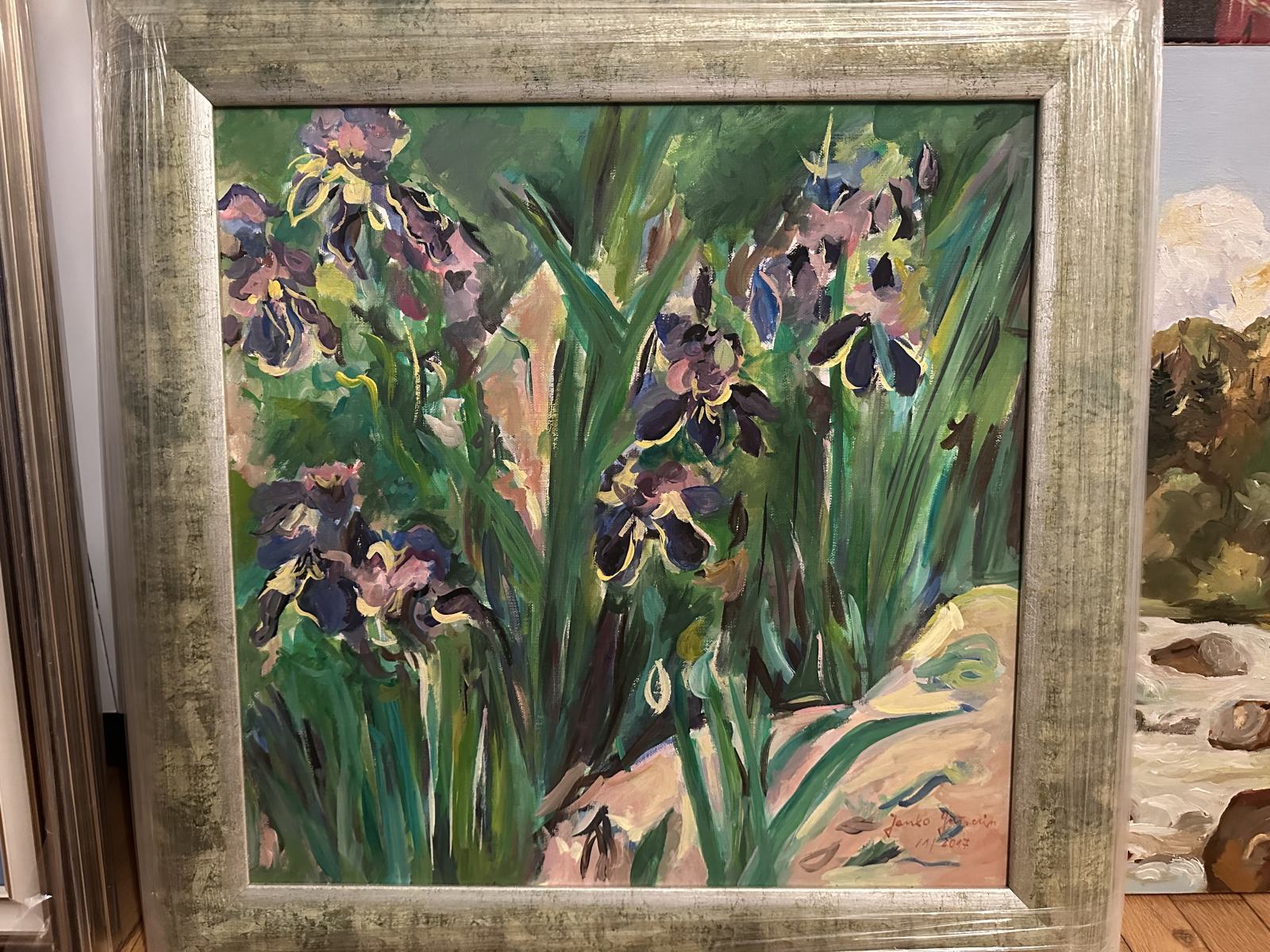 Irisi - Slikar Janko Gašperin