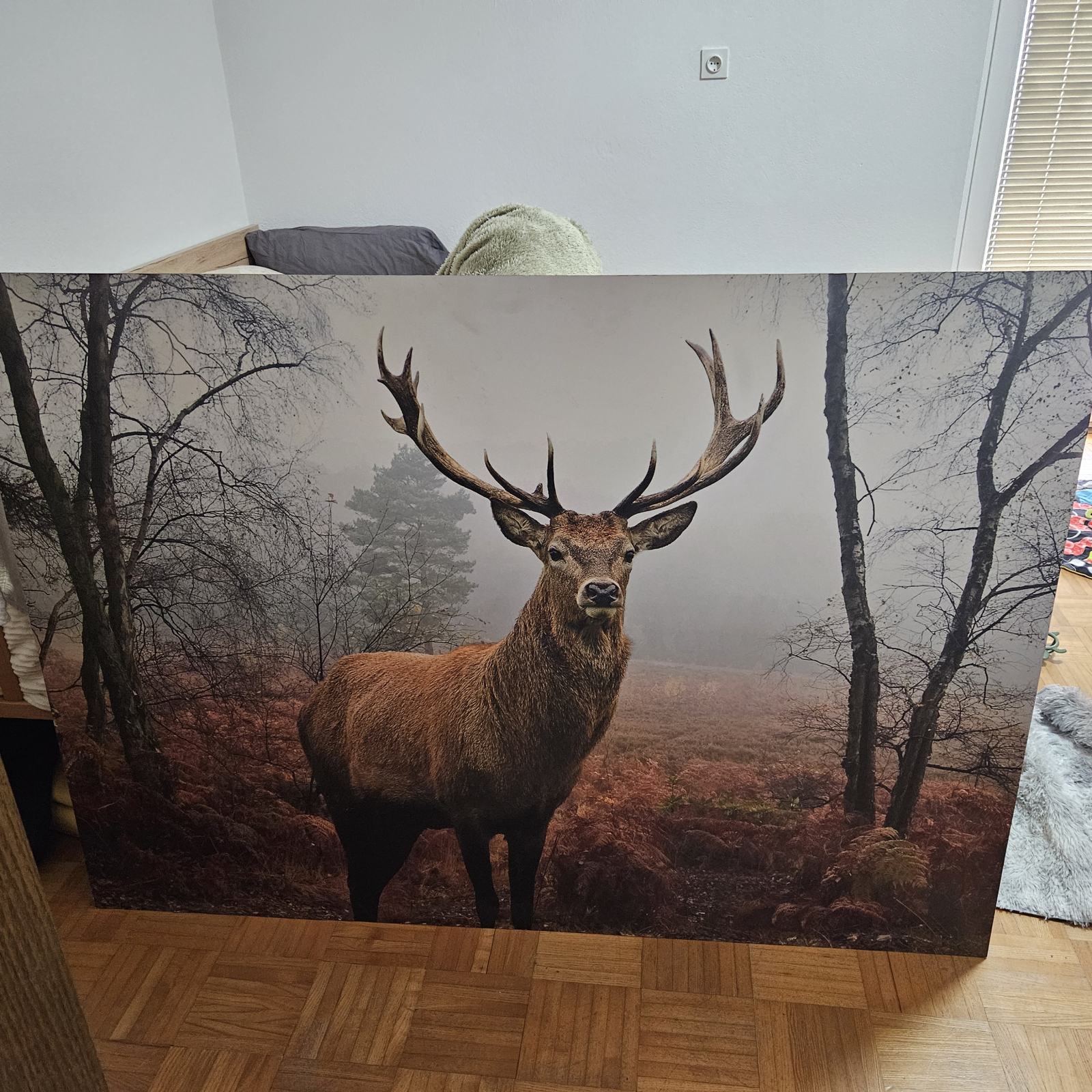 JUMBO slika Jelen v gozdu
