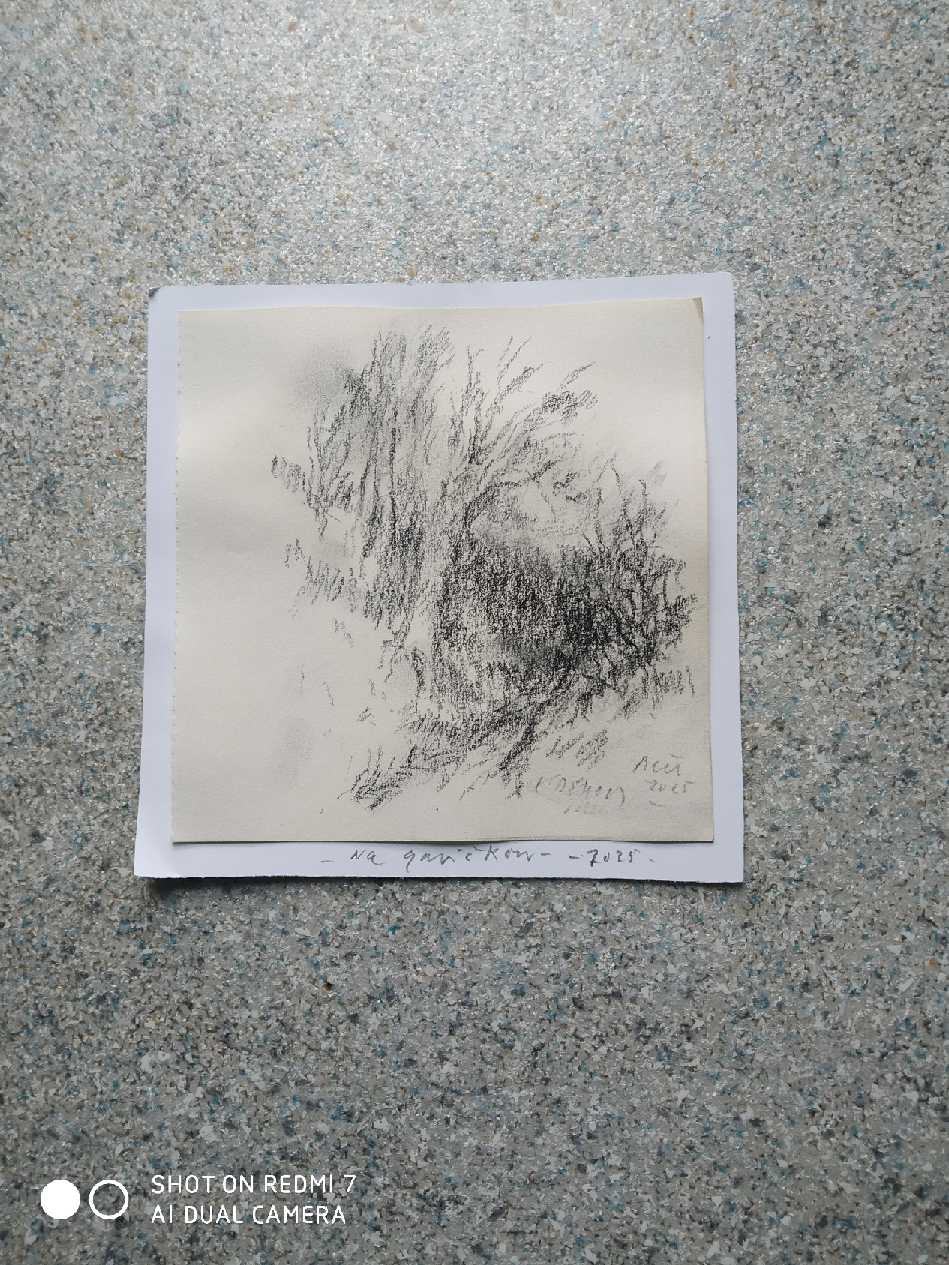 Risba,avtor Nikolaj Beer, 15 x 15 cm