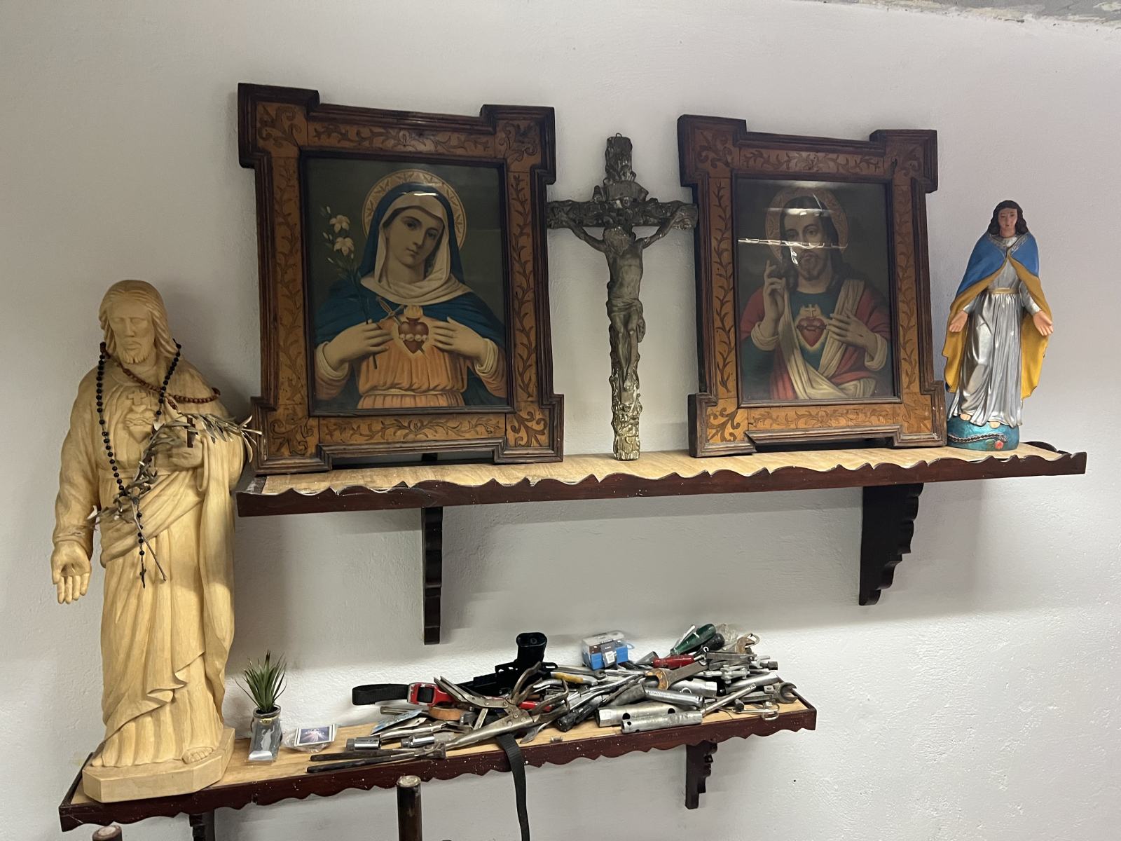 Slike vec vrst starodobne in nove